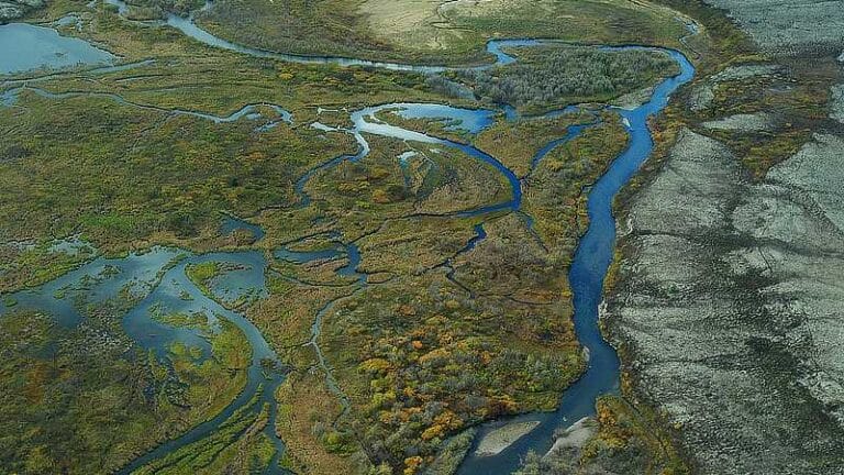 Freshwater Research