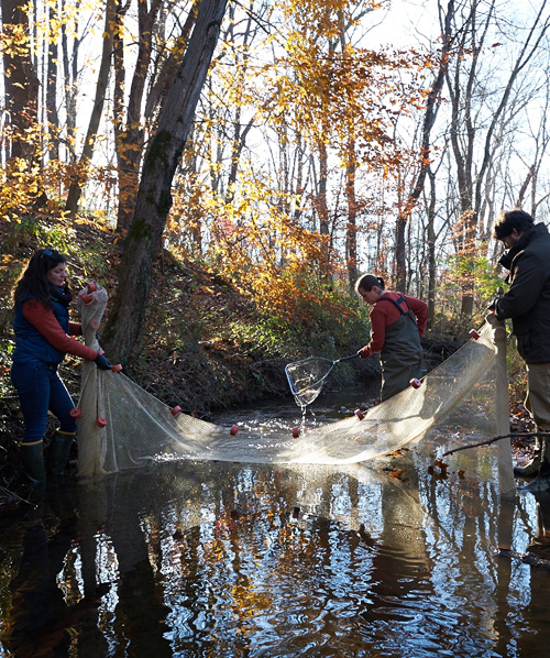 Research Projects | Stroud Water Research Center