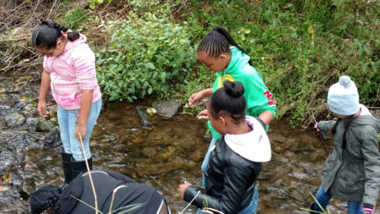 Environmental Education