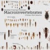 Macroinvertebrate Resources