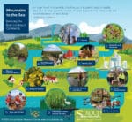 Restoring the River Continuum Community