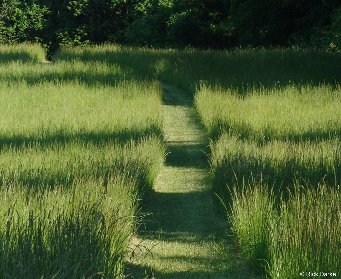 Your Livable Landscape: Cultivating an Ecosystem Esthetic
