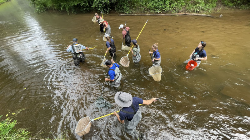 Outdoor Learning Network Helps Teachers Grow and Students Thrive