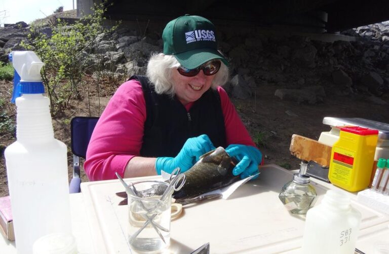 Study Points to Farmland as Possible Source of PFAS in Fish