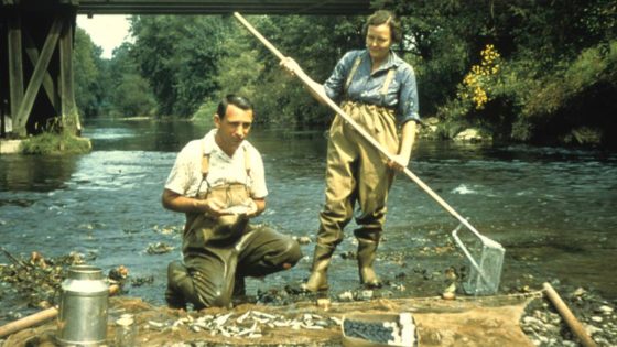 Remembering Ruth Patrick