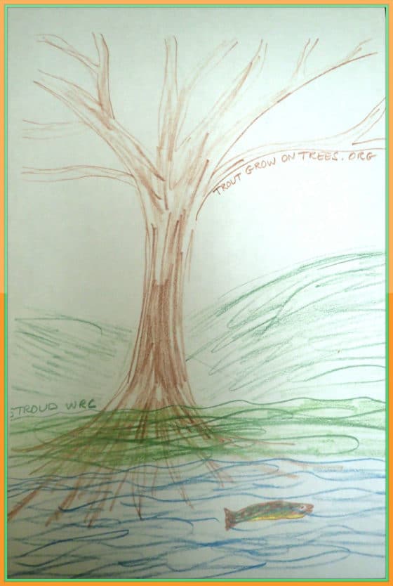 Trout Grow on Trees