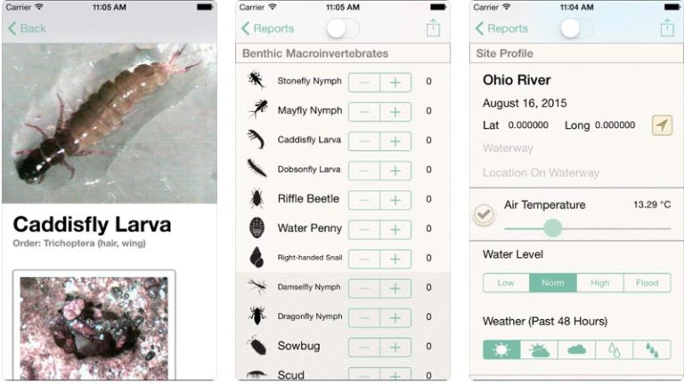 Free App Turns Creek Exploration Into Education